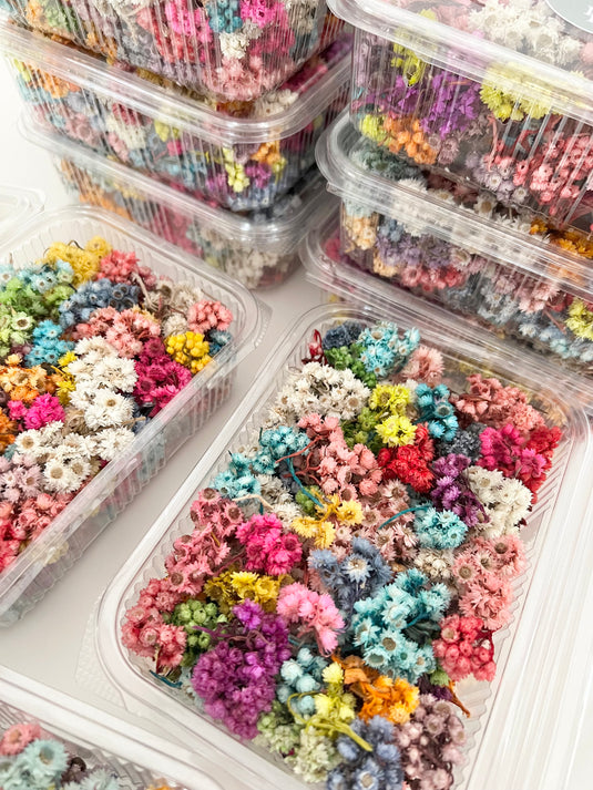 CONFETTI BOXES – DRIED&DAINTY